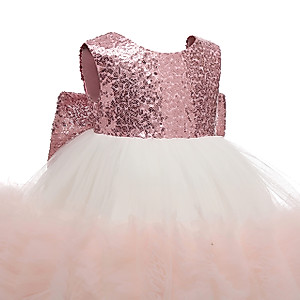 ABAO SISTER Baby Girls Sequined Flower Girl Dress Toddler Princess Tulle Tutu Pageant Ball Gowns, Pink 24M