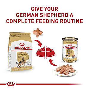 Royal Canin German Shepherd Loaf in Sauce Canned Dog Food, 13.5 oz can (12-count)