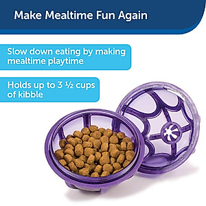 PetSafe Busy Buddy Kibble Nibble - Dog Toy - Treat and Food Dispenser - Slow feeder - Medium/Large