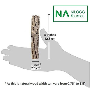 NilocG Aquatics 3 Pieces 5-6" Long Natural Cholla Wood for Aquarium Decoration