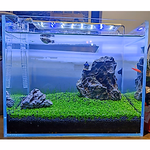 3 Bags Aquarium Plant S.e.e.d Set, not aritifical Plastic, Fresh Water Live Grass for Fish Tank ZQ21