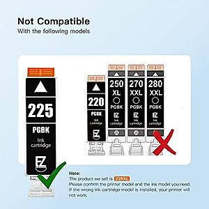 E-Z Ink (TM Compatible Ink Cartridge Replacement for Canon PGI-225 PGI225 Compatible with PIXMA MX882 MX892 MG5320 MG6220 MG5220 MG6120 MG8220 MX712 IP4820 IP4920 IX6520 Printer (Large Black, 4 Pack)