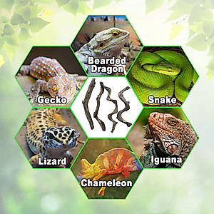 Reptile Decor Natural Forest Branch Terrarium Habitat Driftwood Decoration Lizard Climbing Tree Branch for Bearded Dragon Gecko Snake Frog Chameleon Spider 4PCS