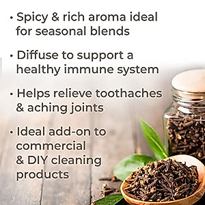 Plant Therapy Clove Bud Essential Oil 100% Pure, Undiluted, Natural Aromatherapy, Therapeutic Grade 10 mL (1/3 oz)