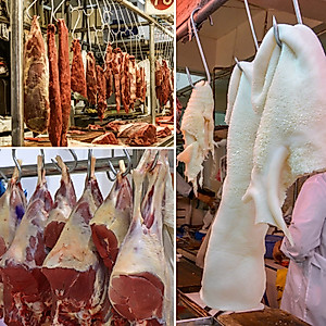 10 Inch Meat Hooks 5 PCS, Butcher Hooks Stainless Steel (8MM Diameter), Meat Processing Hooks, S-Shaped Hook for Hanging Bacon, Hunting Smoking Ribs, Drying, Grillling BBQ For Kitchen, Slaughterhouse