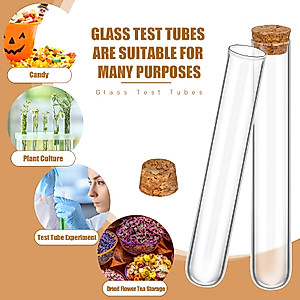 Thyle 100PCS Glass Test Tubes with Cork Clear Stoppers Round Bottom Lab Test Alcohol Tampons Glass Tubes Container Vials for Plants Scientific Experiments Candy Storage Party Favors (20x150mm/35ml)