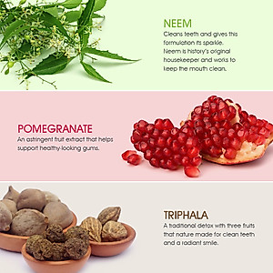 Himalaya Complete Care Toothpaste - Simply Mint Plus Simply Spearmint 5.29 oz/150 gm - Bundle