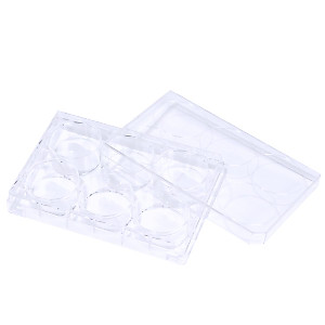 BIPEE Polystyrene Petri Dish 6 Well Cell Culture Plate, Sterile, Pack of 10