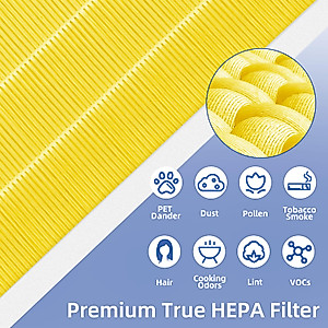 116131 True HEPA Replacement Filter I for Winix C555 5500-2 Plasmawave Air Purifier,2 Pack H13 True HEPA Filters and 2 Pack Activated Carbon Filter Combo Pack