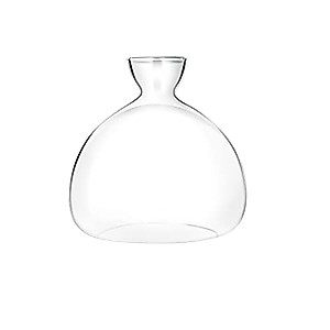 Acorn Sprouting Seed Starter Planter Vase Terrariums Pot Acorn Tree Growing Kit Deco Glass Bulb Propagation Vases Grow Acorn Trees at Home Acorn Tree Growing Kit Unusual Gardening Gifts for Her Him