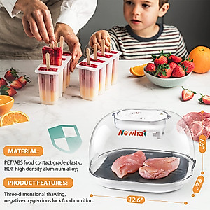 Newhai Defrost Tray for Frozen Meat, Upgraded Defrosting Board 360°Defroster with Atomizer for Beef Chicken Sea Food Kitchen Use