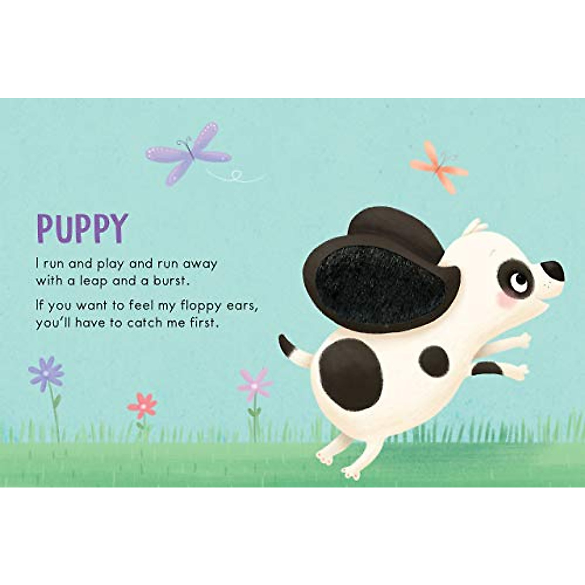 Baby Animals: A Touch and Feel Book - Children's Board Book - Educational