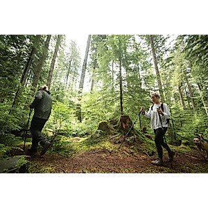 Cascade Mountain Tech Trekking Poles - Aluminum Hiking Walking Sticks with Adjustable Locks Expandable to 54" (Set of 2), Cork Grip, Orange