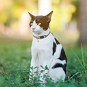 SCENEREAL Natural Scenery Series Breakaway Cat Collar with Bells, 2 Pack Soft Adjustable Kitten Collars for Cats Puppies Daily Wearing (Mountains)