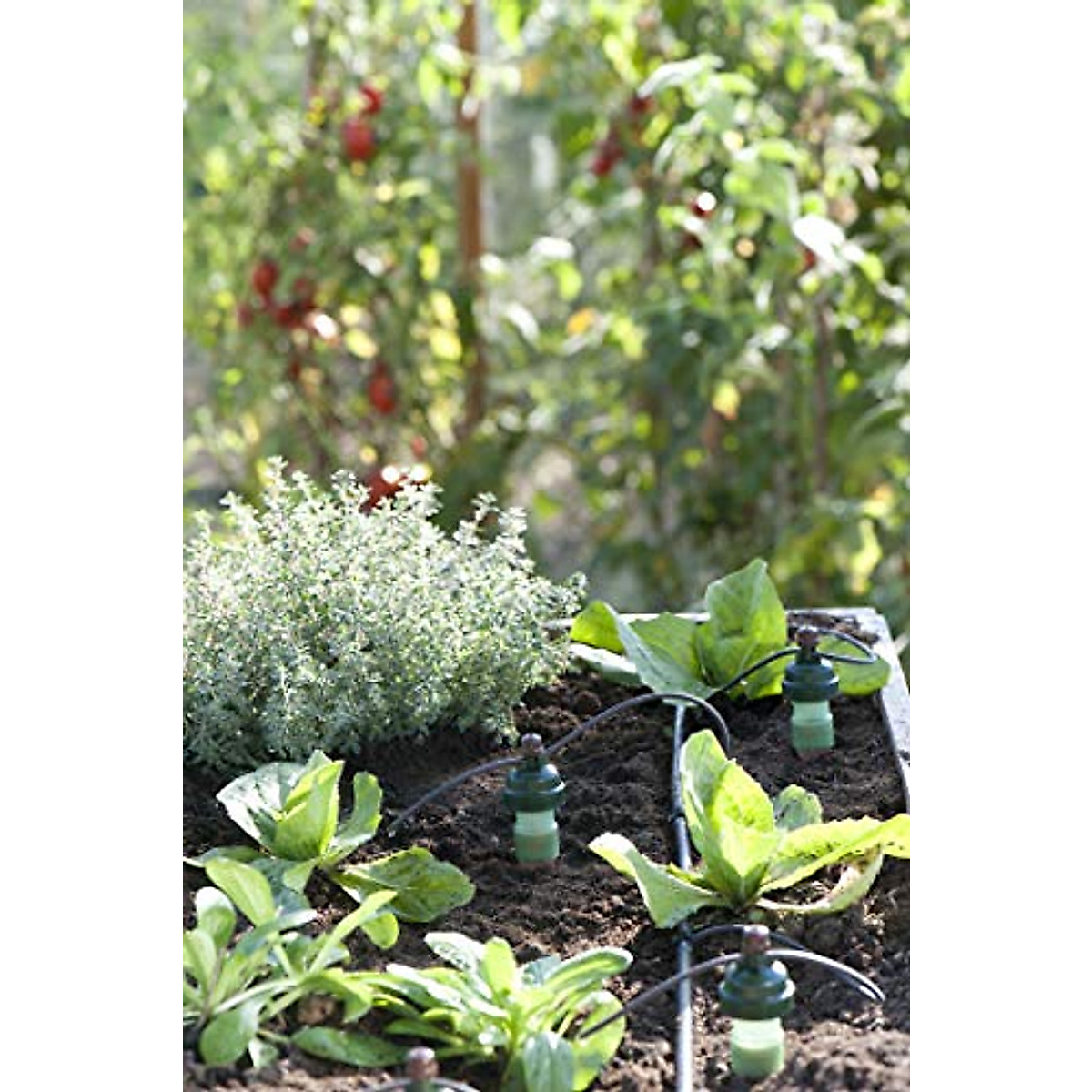 Blumat Automatic Watering System for 5 Plants (Starter Kit)| Fully Automatic Drip Irrigation Kit | No electricity, No Batteries required | Garden, Patio, Hanging Baskets, Raised Bed, Greenhouse | Sustainable Outdoor System