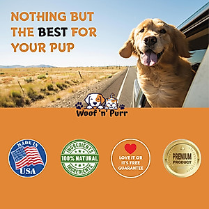 Natural Dog Allergy Relief - Helps to Naturally Support Allergy & Itch Relief for Dogs - Allergy Relief for Dogs Itching - Itch Relief for Dogs - Dog Itch Relief - Dog Allergy Support - 1 fl oz