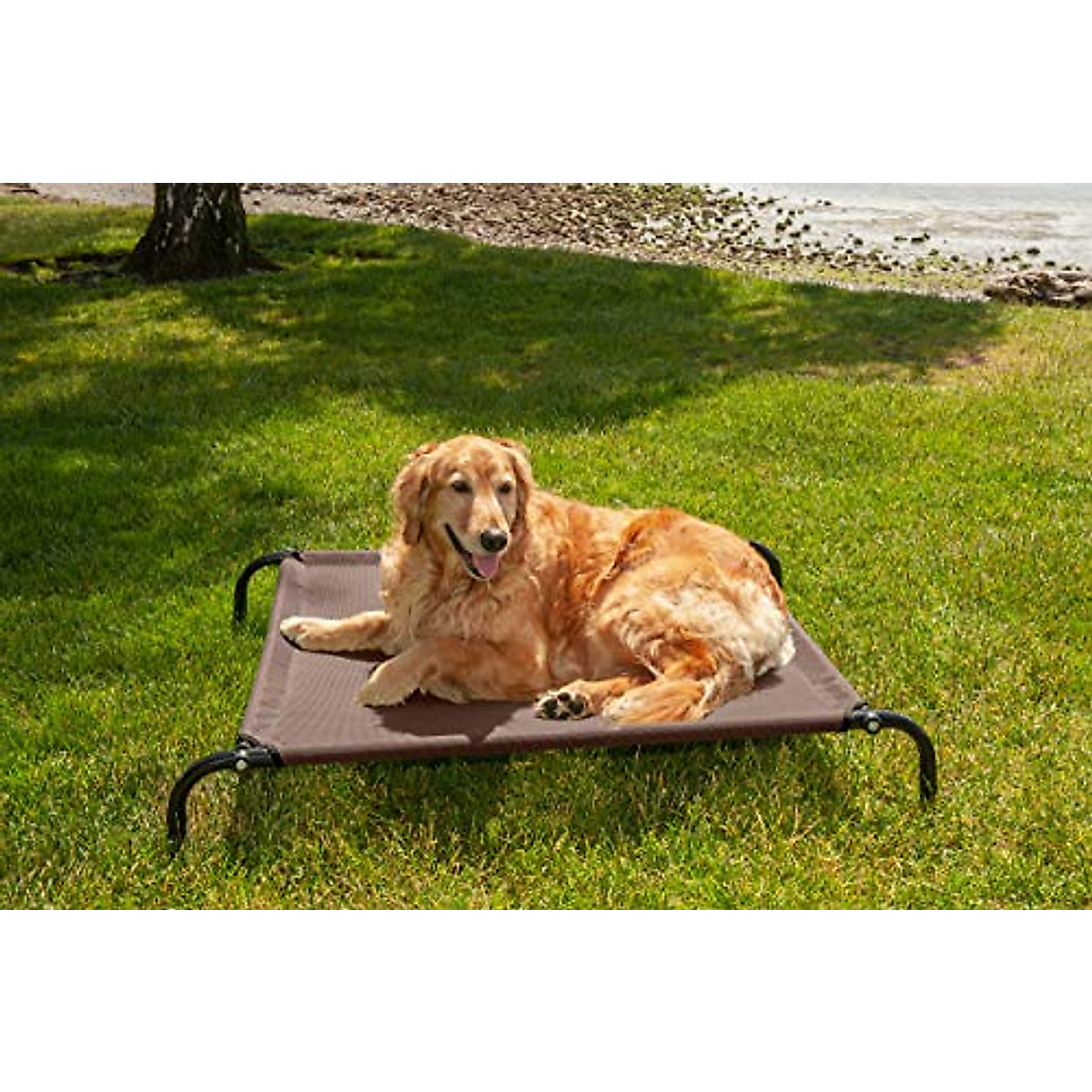 Furhaven Medium Dog Bed Reinforced & Elevated Cot w/ High Airflow Cooling - Espresso, Medium