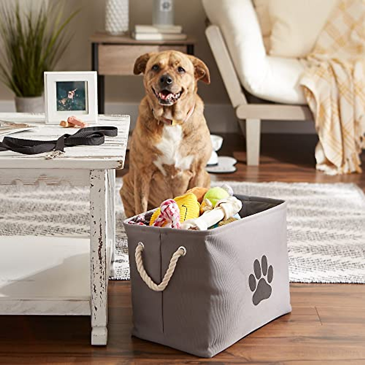 Bone Dry Pet Storage Collection Collapsible Bin, Medium Rectangle, Gray