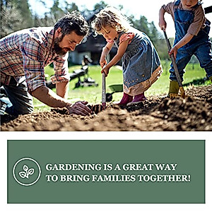 Sow Right Seeds - Golden Globe Beet Seed for Planting - Non-GMO Heirloom Packet with Instructions to Plant a Home Vegetable Garden - Great Gardening Gift (1)