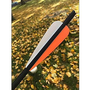 REEGOX Crossbow Bolts 20 inch Bio Crossbow Arrows with 4-Inch Vanes(Pack of 12)