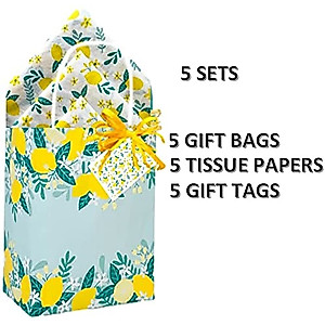 Small Gift Bags With Coordinating Tissue Paper and Gift Tags 5 Count (LEMON)