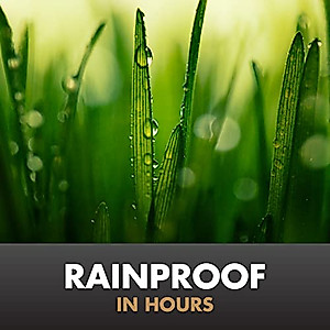 Spectracide Immunox Fungus Plus Insect, 1 Pack