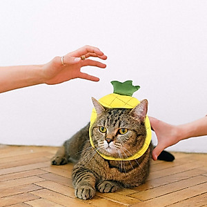 balacoo Elizabeth Circle Cat Healing Collar Small Puppy Collar Catton cat Collar Bite Collar Cat Neck Collar Puppy Collars Adjustable Cat Collar Dog Collar pet Fabric Headgear