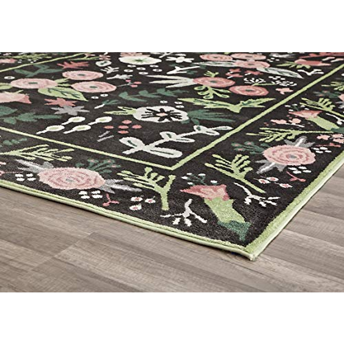Rugs America Onyx & Pink Gardenias Transitional Rug Gardenia Pink Onyx VA30A 2'0"X4'0" Area Rug