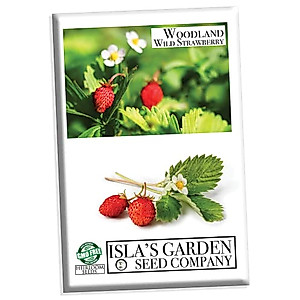 Strawberry Seeds, Woodland Wild Strawberry Fruit/Plant Seeds, 150 Strawberry Seeds Per Packet, Non GMO Seeds, (Fragaria vesca), Isla's Garden Seeds