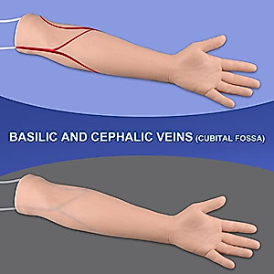 Medarchitect IV Injection & Phlebotomy Arm Practice kit with Intravenous Infusion, Blood Draw, Venipuncture Techniques Training Model for NP/PA/RN Medical Students Educational Teaching