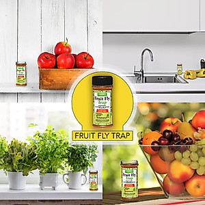 Harris Fruit Fly Trap, Fruit Fly Killer for Indoors, 6oz (2-Pack)