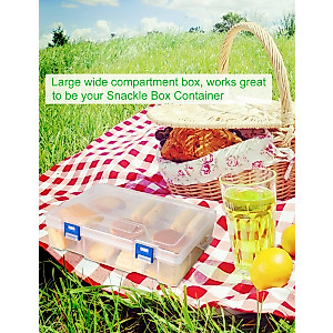 Tnqhuq Bead Organizer Tackle Box Organizer Bead Storage Containers 2-layer Craft Organizer Plastic Organizer Box with Dividers & Removable Tray