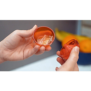 Raid Fruit Fly Trap Bundle Fruit Fly Traps for Kitchen, Fly Trap Indoor Use, Fly Traps, Fly Killer, Fly Catcher for Food Prep Areas, Gnat Trap Indoor Use (6 Pack)' (6 Pack, 12 Total Traps)