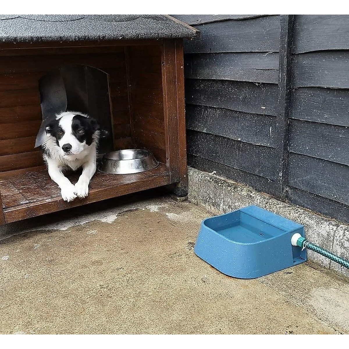 PETLESO Automatic Dog Waterer, Automatic Dog Water Bowl for Cats Dogs Birds Goats Outdoor Small Animals, Blue 2L