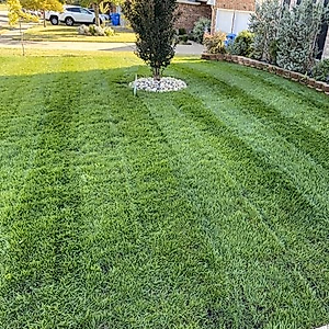 Outsidepride SPF-30 Heat & Drought Tolerant Hybrid Bluegrass Lawn Grass Seed - 10 LBS