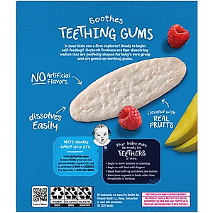 Gerber Snack for Baby Teethers, Mango Raspberry, Gentle Teething Wafers Flavored with Real Fruits, 12 Individually Wrapped 2-Packs (24 Wafers/Box) (Pack of 2 Boxes)