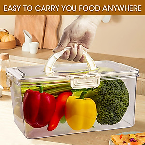 Fruit Storage Containers for Fridge with Lids & 4 Removable Colanders, Airtight Food Box Container, Kitchen Organizers and Storage, Food Storage Containers, Clear Fridge Organizer Bins, BPA-Free