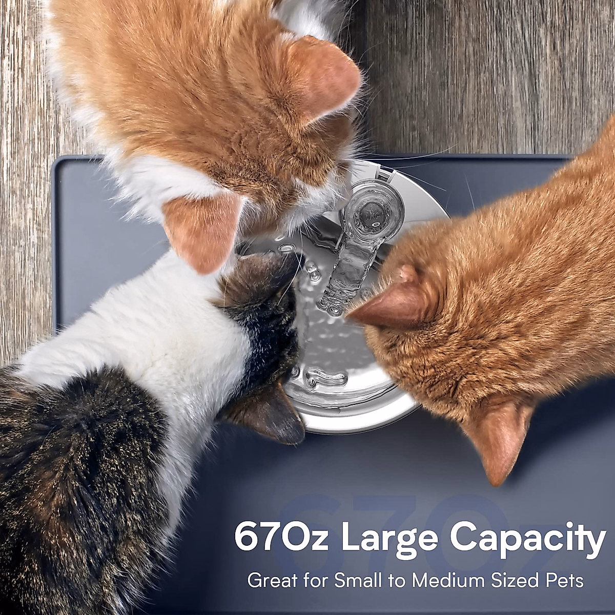 MEGADOO Cat Water Fountain Stainless Steel, 2.0L/67oz Pet Drinking Fountains, Automatic Cat Fountain with Quiet Pump, Dishwasher Safe Design, Suitable for Multiple Pets