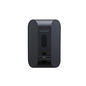 Bluesound Pulse Flex 2i Portable Wireless Multi-Room Smart Speaker with Bluetooth - Black - Compatible with Alexa and Siri