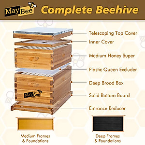 Beehive 8 Frame Bee Hives and Supplies Starter Kit, Bee Hive for Beginner, Honey Bee Hives Includes 1 Deep Bee Boxes, 1 Bee Hive Super with Beehive Frames and Foundation