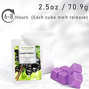 SCENTORINI Wax Melts, Wax Cubes, Soy Scented Wax Melts for Wax Warmer Mothers Day Decor, 4 Scents of Caramel, Espresso, Black Currant, Raspberry & Cinnamon, 4 x 2.5 oz