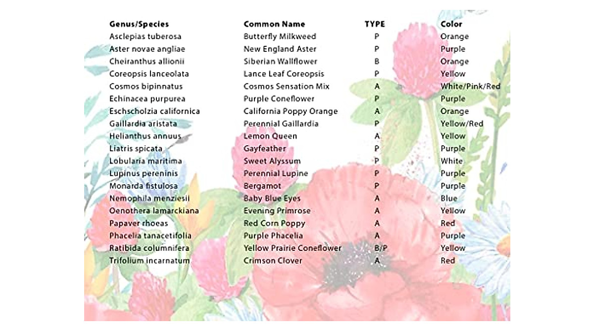 Bee & Butterfly Wildflower Seeds - Bulk Mix | Attract Pollinators