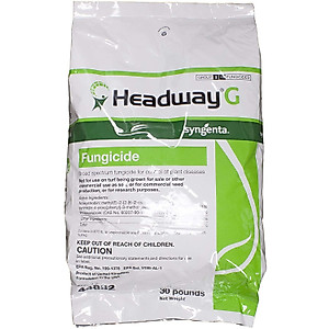 Syngenta Headway G Granular Fungicide