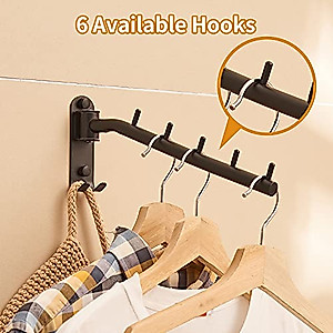 Danpoo Folding Clothes Hanger Rack, Stainless Steel Swing Arm Hook Holder, Clothing Hanging System Drying Closet Storage Organizer Wall Mount Chrome (Black)