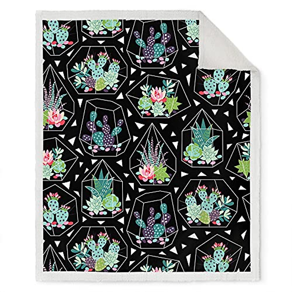 Jekeno Cactus Sherpa Blanket Plant Print Throw Blanket Lightweight Cozy Warm for Sofa Chair Bed Office 50"x60"