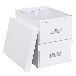 Bigso Karin Collapsible Storage Box | Photo Storage Box with Labelframe for Identification | Simple Assembly without Tools | Decorative Storage Boxes with Lids | 8.9″ x 12.4″ x 5.4″ | 2 Pack | White