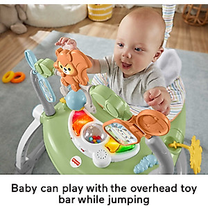 Fisher-Price Baby Bouncer SpaceSaver Jumperoo Activity Center with Lights Sounds and Folding Frame, Sweet Snugapuppy