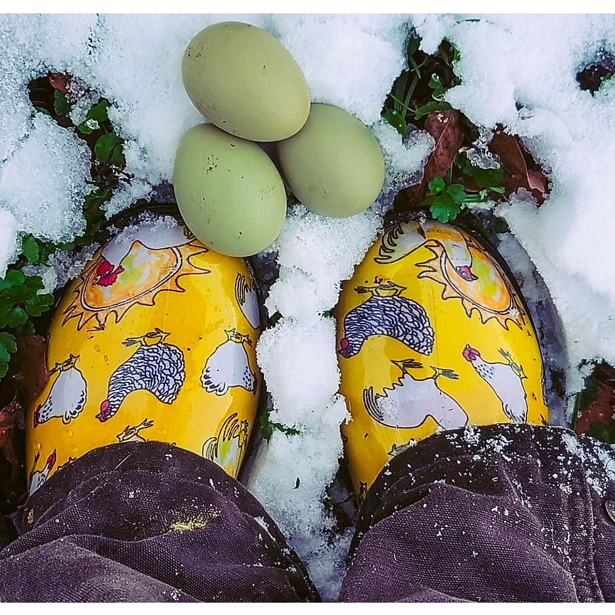 Sloggers Original Waterproof Rain and Garden Shoe for Women– Outdoor Slip-On Garden Clog - Made in The USA with Premium Comfort Insole and Arch Support - Chickens Daffodil Yellow, Size 7