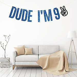 Dill-Dall Dude I'm 9 Birthday Banner, Level 9 Unlocked, 9 Year Old Hanging Sign, Kid Boys Happy 9th Birthday Party Decorations Supplies