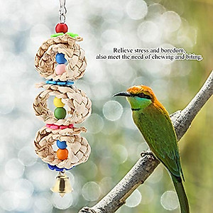 Parrot Chew Foraging Toys Bird Claim Toy Pet Stand Rop for Birds Macaw African Grey Budgie Parakeet Cockatiels Conure